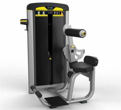 Muscle Training BTM-010A Back Extension