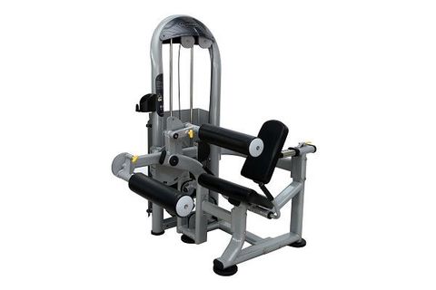 Leg Machine – Gym-group.com.vn