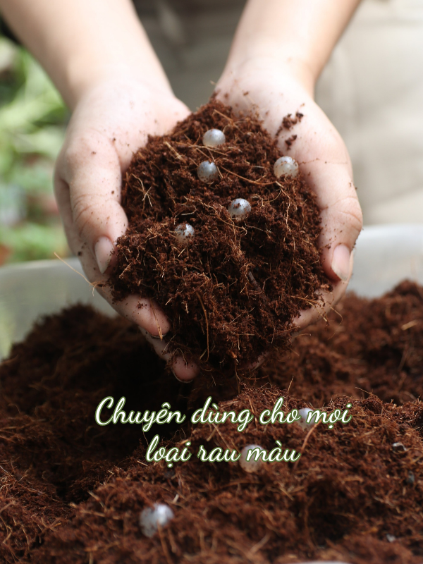 Giá thể CocoGreen - Khuyên dùng cho mọi loại rau màu - Nguồn Sinh Thái