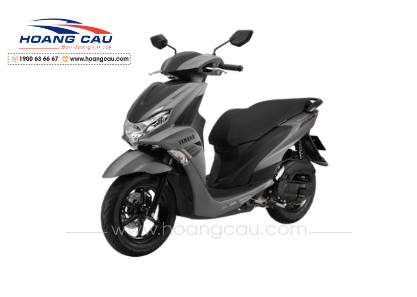 FREEGO – Hệ Thống Xe máy Hoàng Cầu