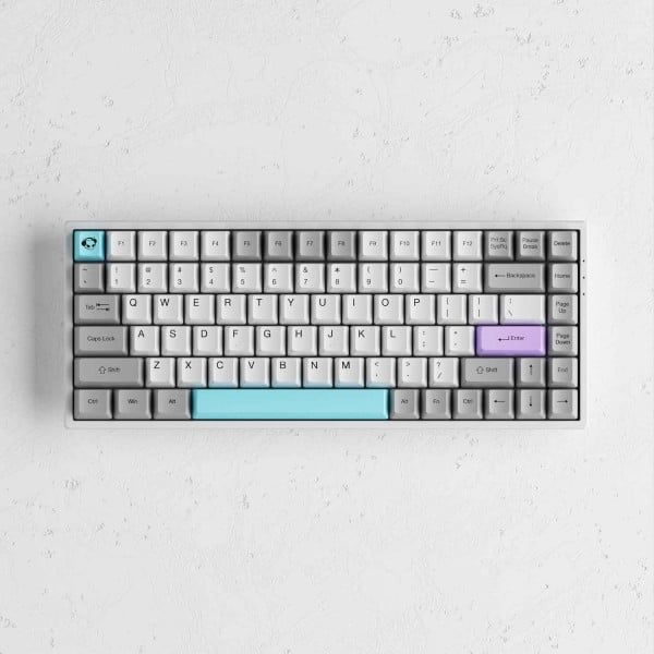Bàn Phím Cơ Akko 3084B Plus Silent Akko Cs Jelly Purple Switch