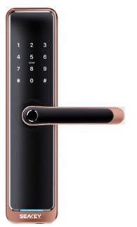 Khóa Vân Tay SEAKEY F36B – Viễn Thông ITC Việt Nam