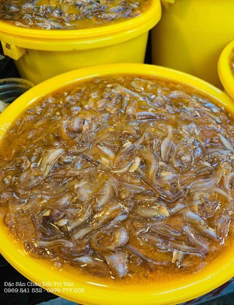 Mắm Cá Trèn – Đặc Sản Châu Đốc Trí Vân