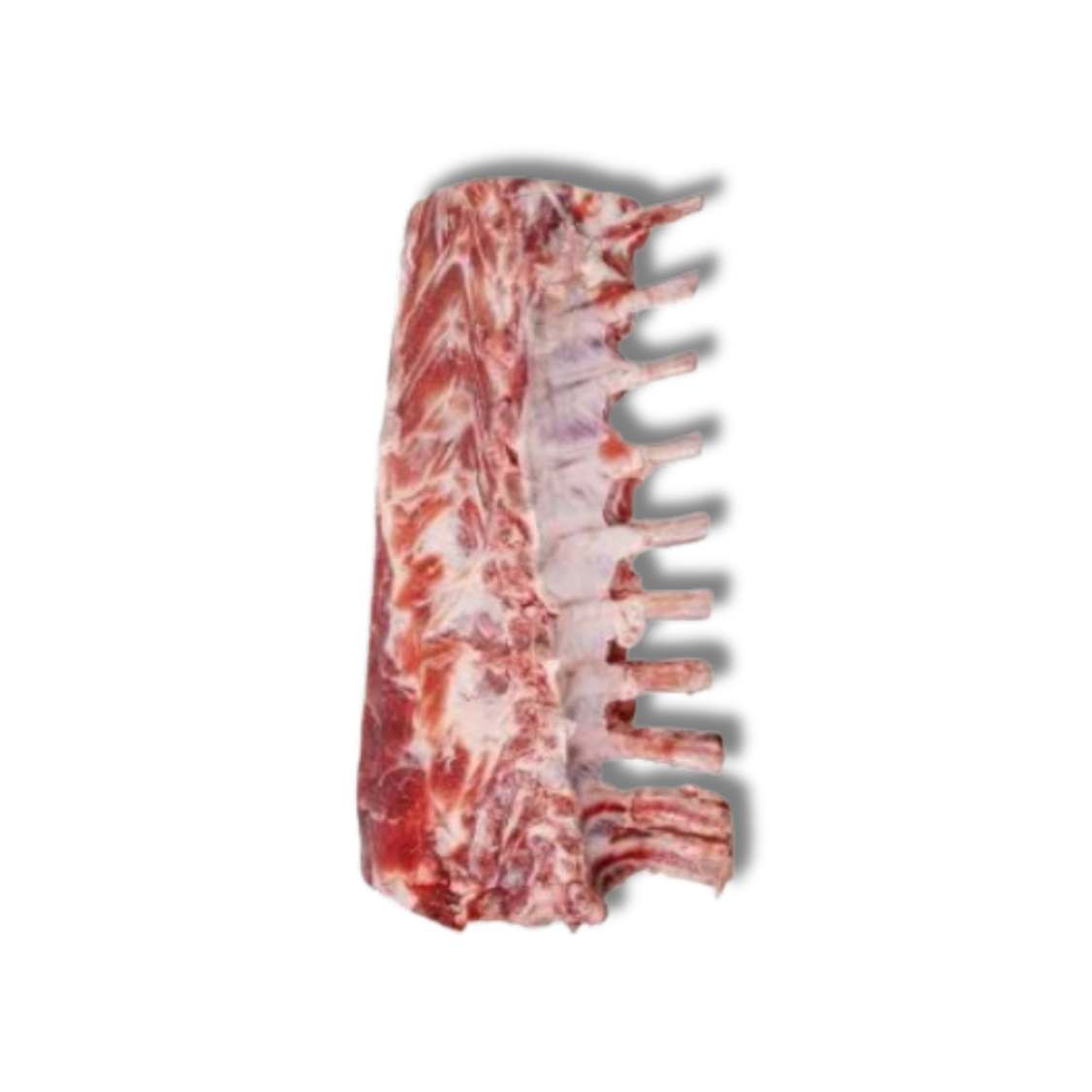 Thịt cốt lếch heo đen Iberico Deraza French Rack Nguyên khối – TheARTERI