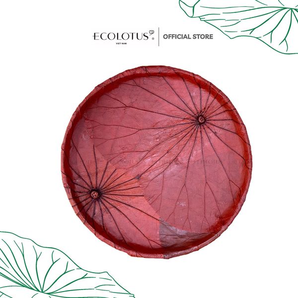 Nia lá sen Ecolotus - Đỏ