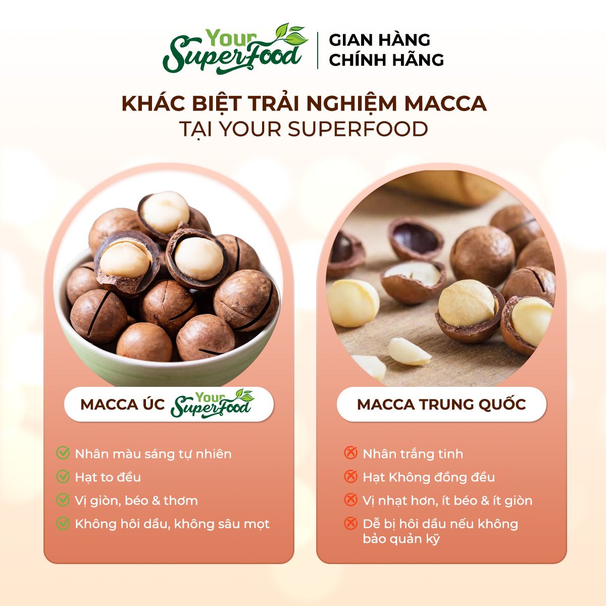 Macca Úc (Thượng hạng) (Nứt vỏ) (500g) – Your Superfood