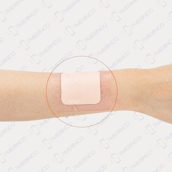 Băng gạc xốp vết thương Therasorb Algi Plus Adhesive 9cmx20cm – Merinco