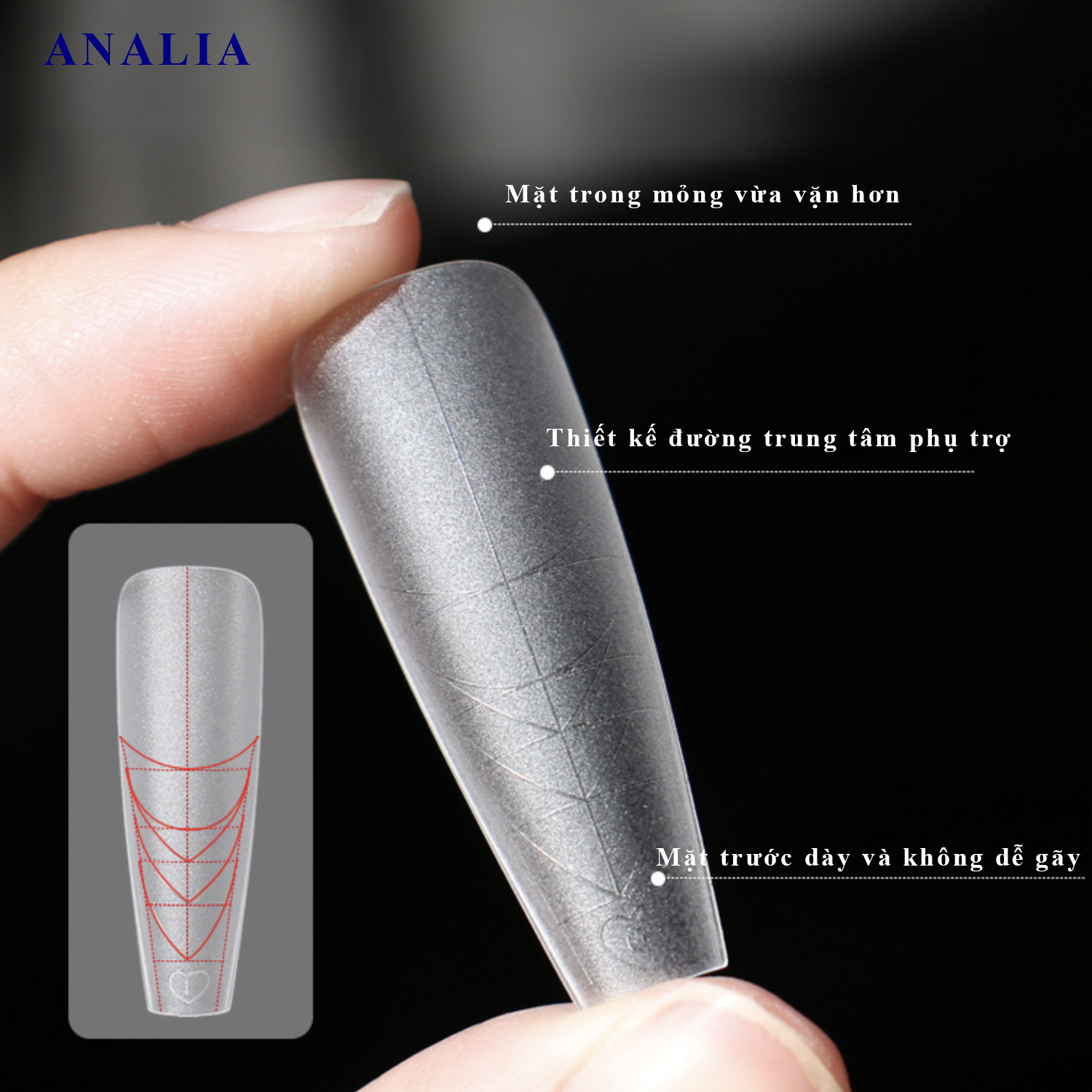 Móng Up Vạch Kẻ Loại Dài ANSC – Analia Academy - Anatran