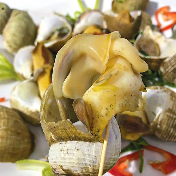 Địa chỉ mua ốc bulot hấp sả ngon, hấp dẫn tại Hà Nội