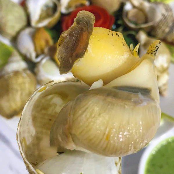 Địa chỉ mua ốc bulot hấp sả ngon, hấp dẫn tại Hà Nội