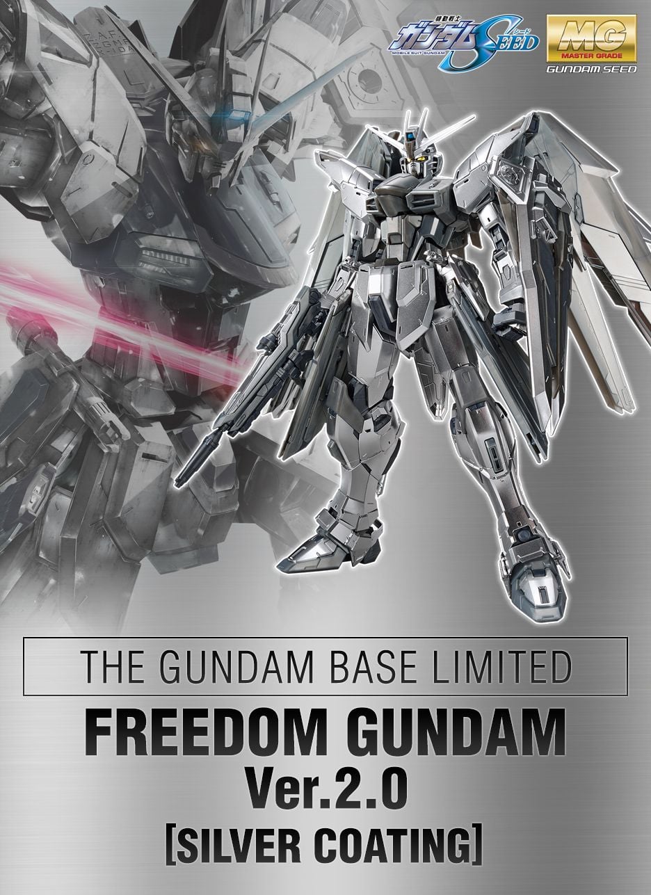MG 1/100 Freedom Gundam Ver. 2.0 - Silver Coating - LIB Gunpla