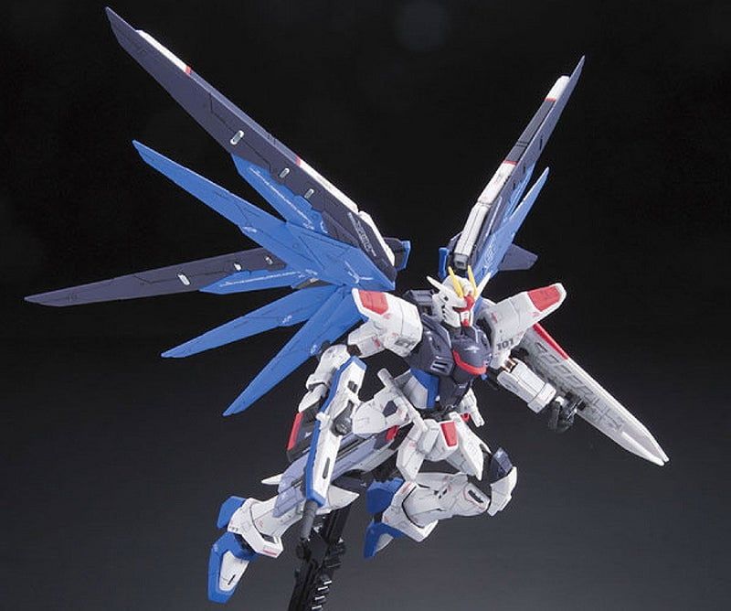 RG 1/144 Freedom Gundam - LIB Gunpla
