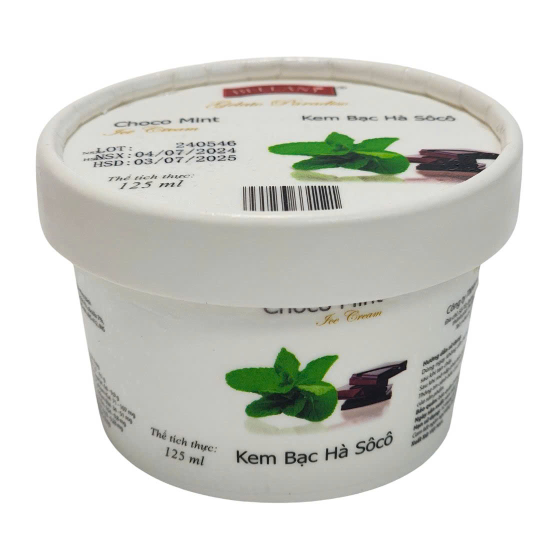 Kem Gelato Bạc Hà Sô Cô/ Choco Mint Gelato 125ml – SaigonGourmet