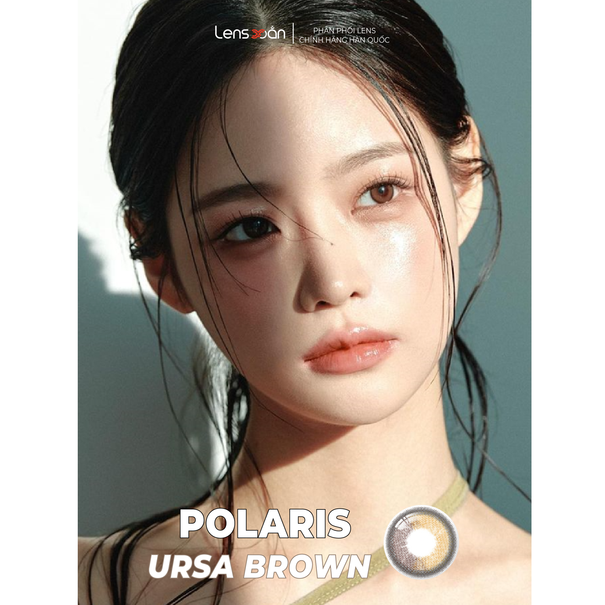 Kính áp tròng Polaris Brown hãng I-SHA - Lens Nâu 2 dải màu trong veo