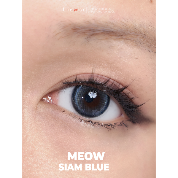 Kính áp tròng Meow Siam Blue hãng IDIFF - Lens mắt mèo ánh xanh