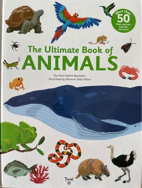 Ultimate Book of Vehicles: From Around the World – May Book Shop