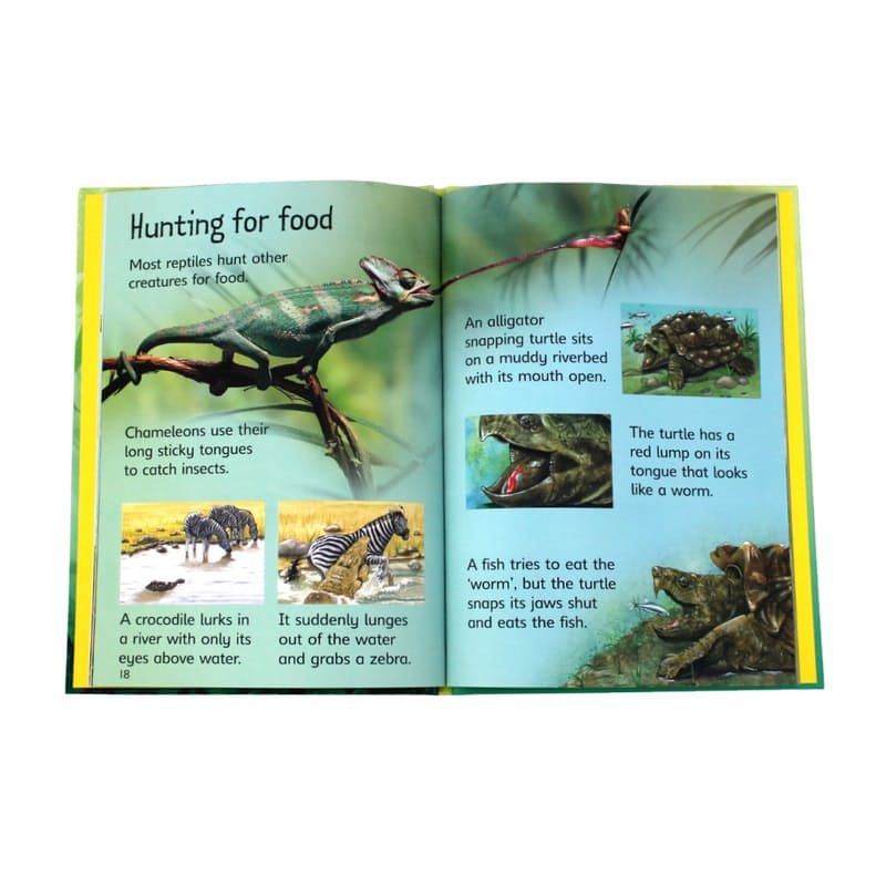 Usborne beginners - Nature (10 books) – May Book Shop