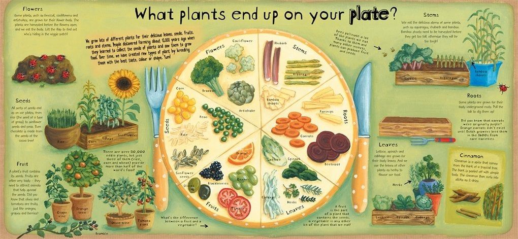 How plants work – May Book Shop