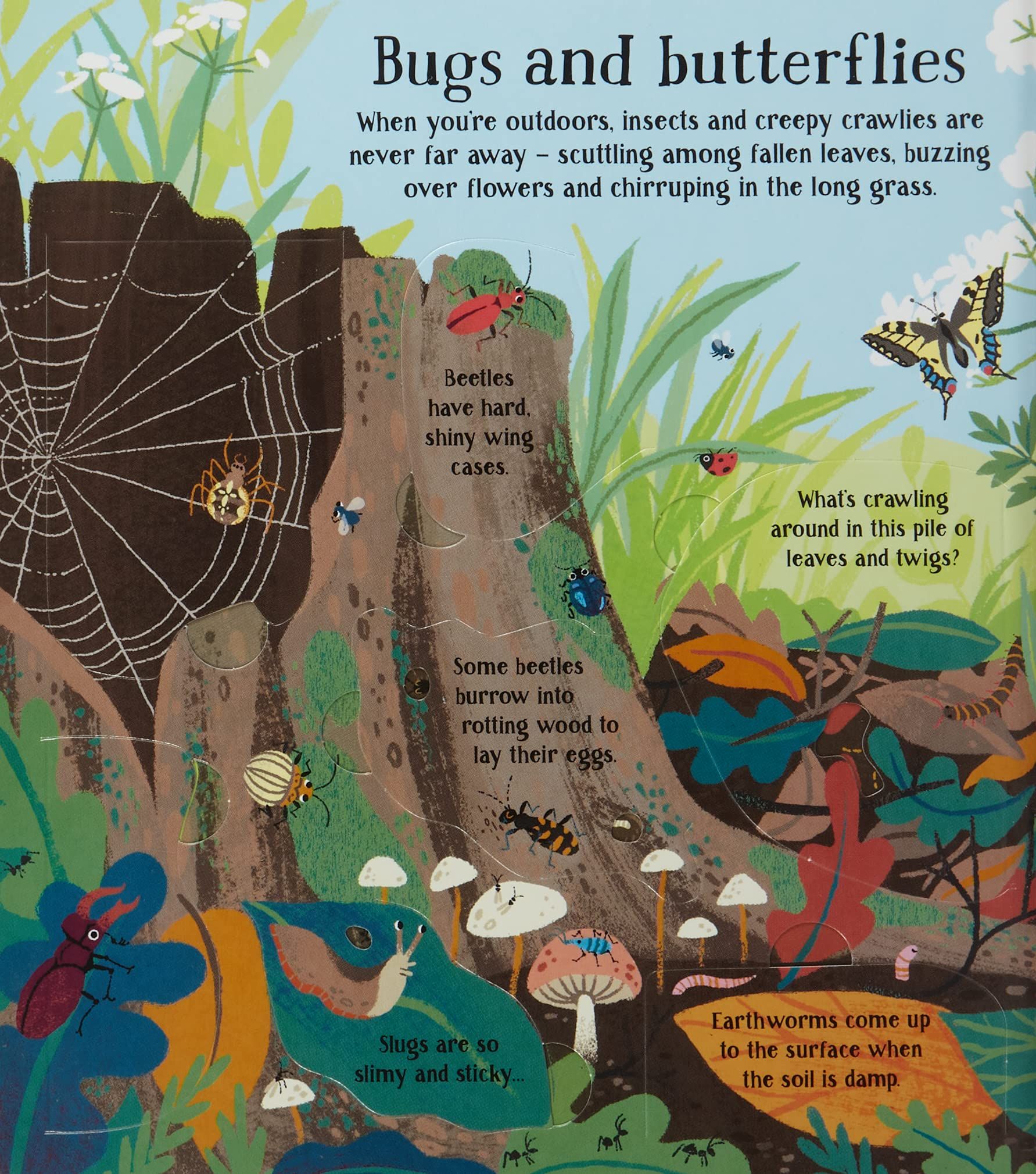 Look Inside Nature – May Book Shop