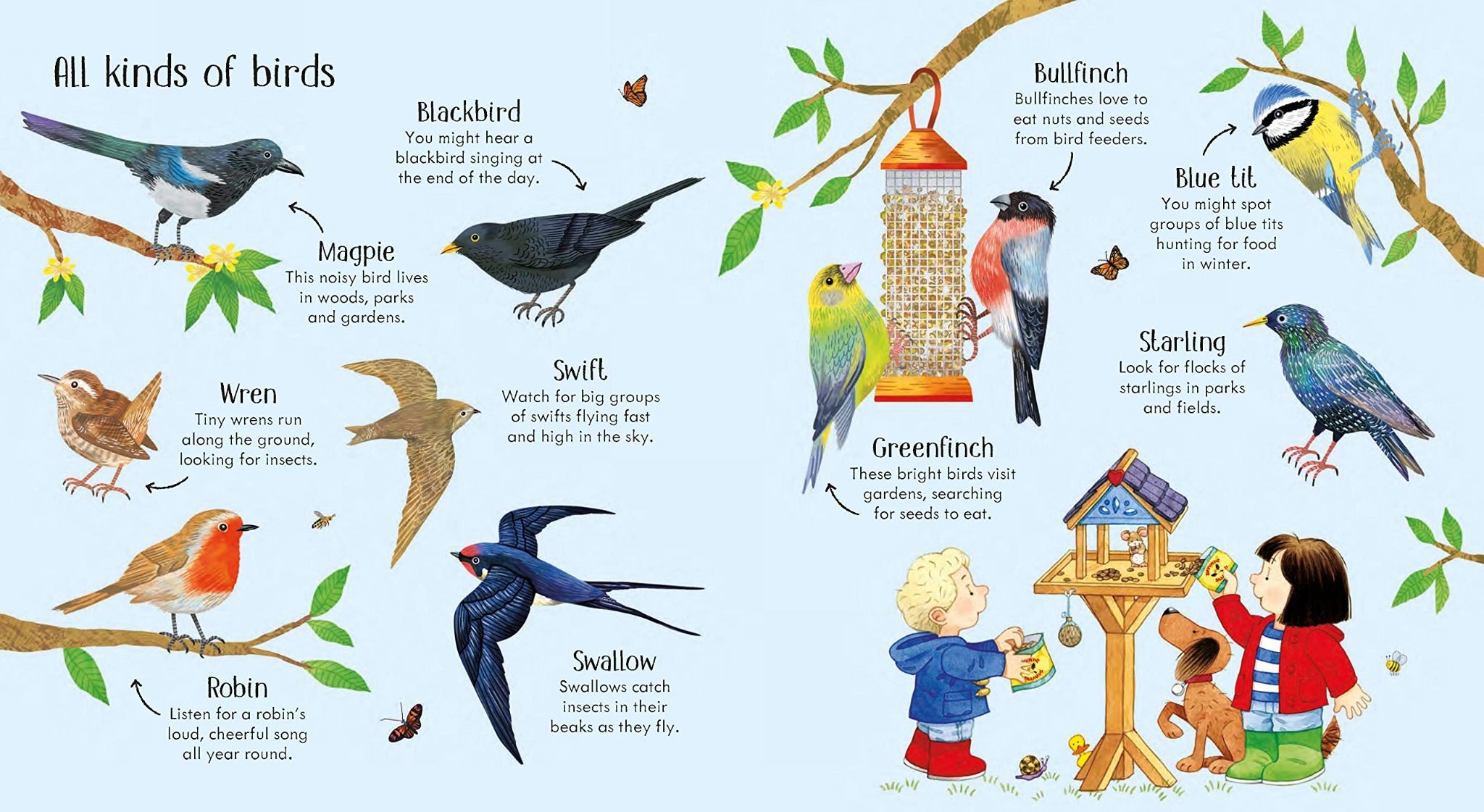 Nature spotting book – May Book Shop