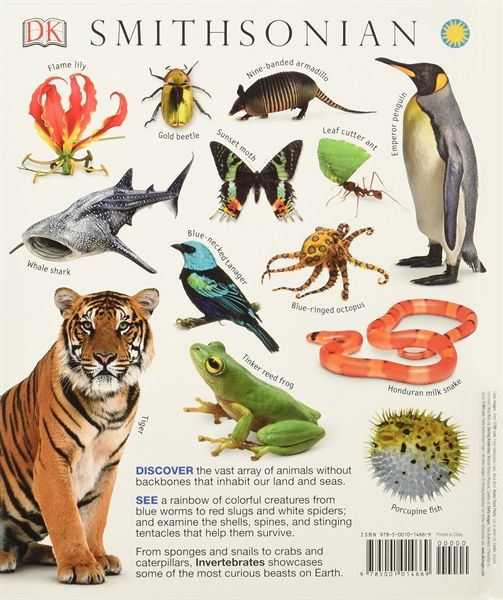 The animals box – May Book Shop