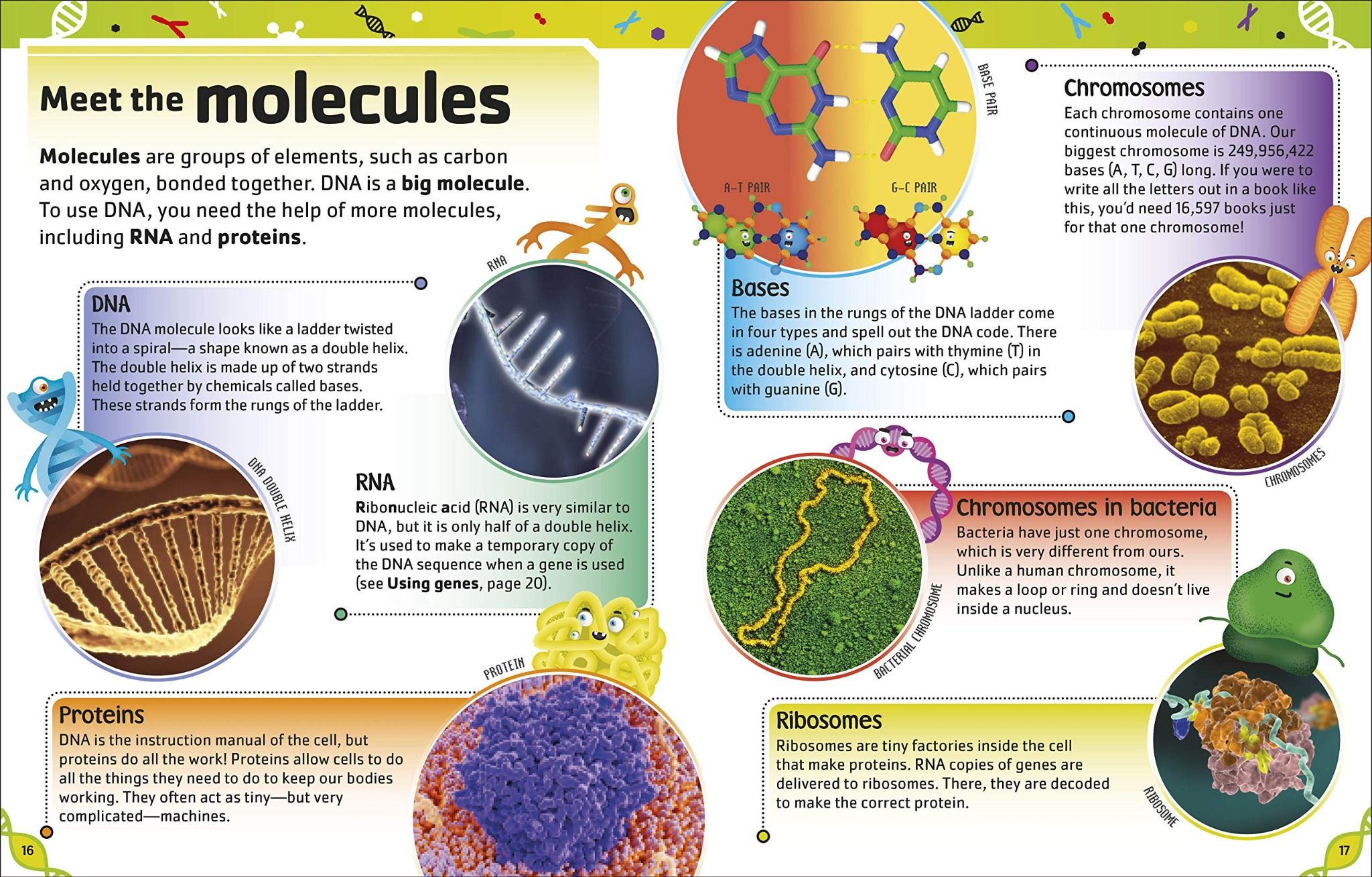 The DNA book – May Book Shop
