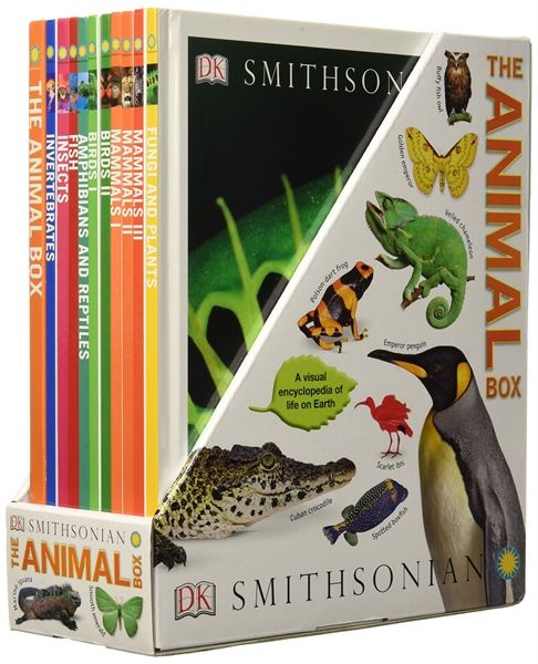 The animals box – May Book Shop