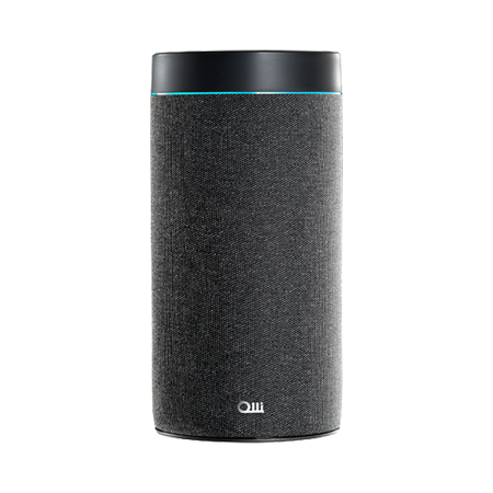 Loa thông minh DQSmart OL 1.1 – Giải pháp toàn diện Điện Quang