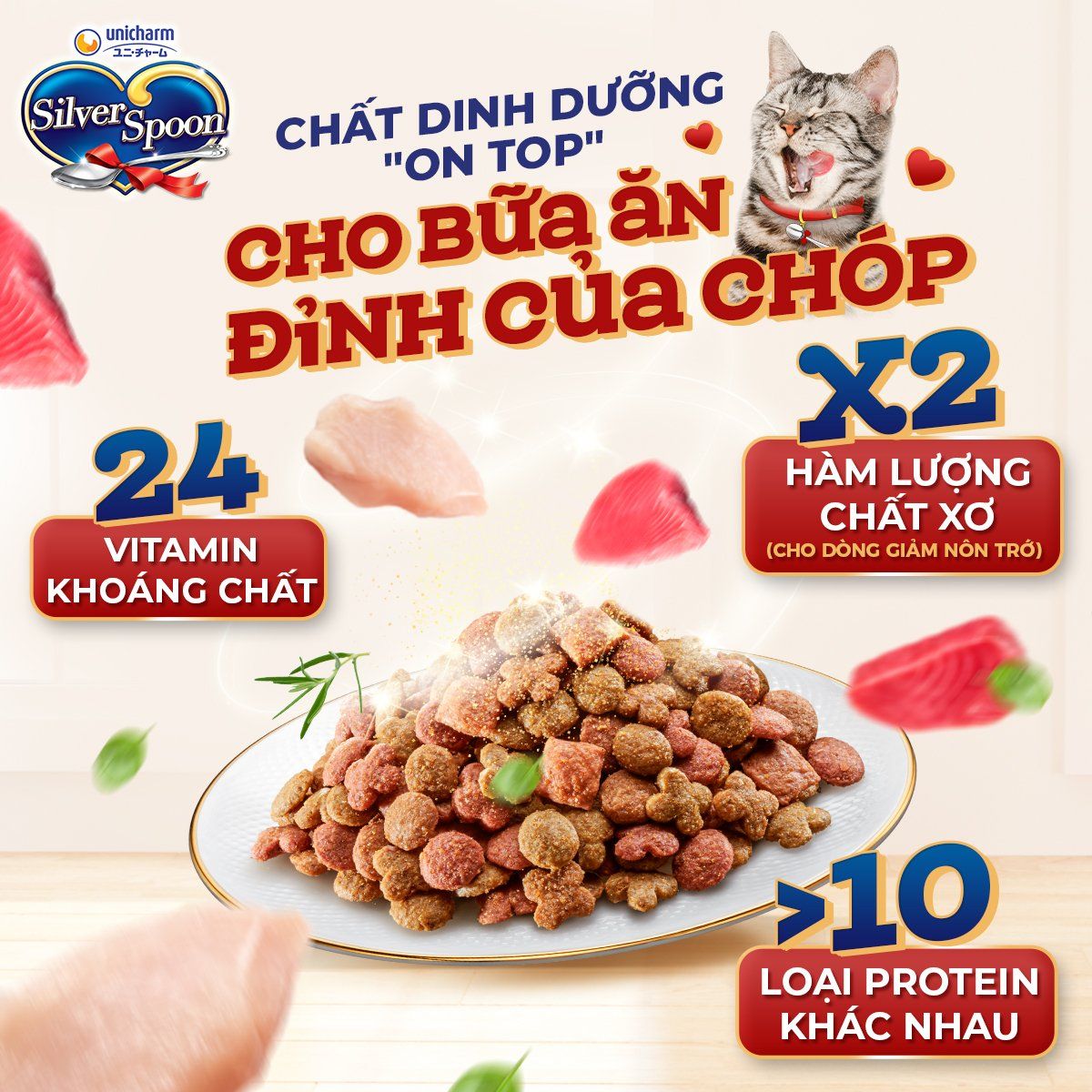 [800G-1KG]Thức Ăn Hạt Cho Mèo SILVER SPOON Cao Cấp Nhật Bản [800G-1KG] – Petspace.vn