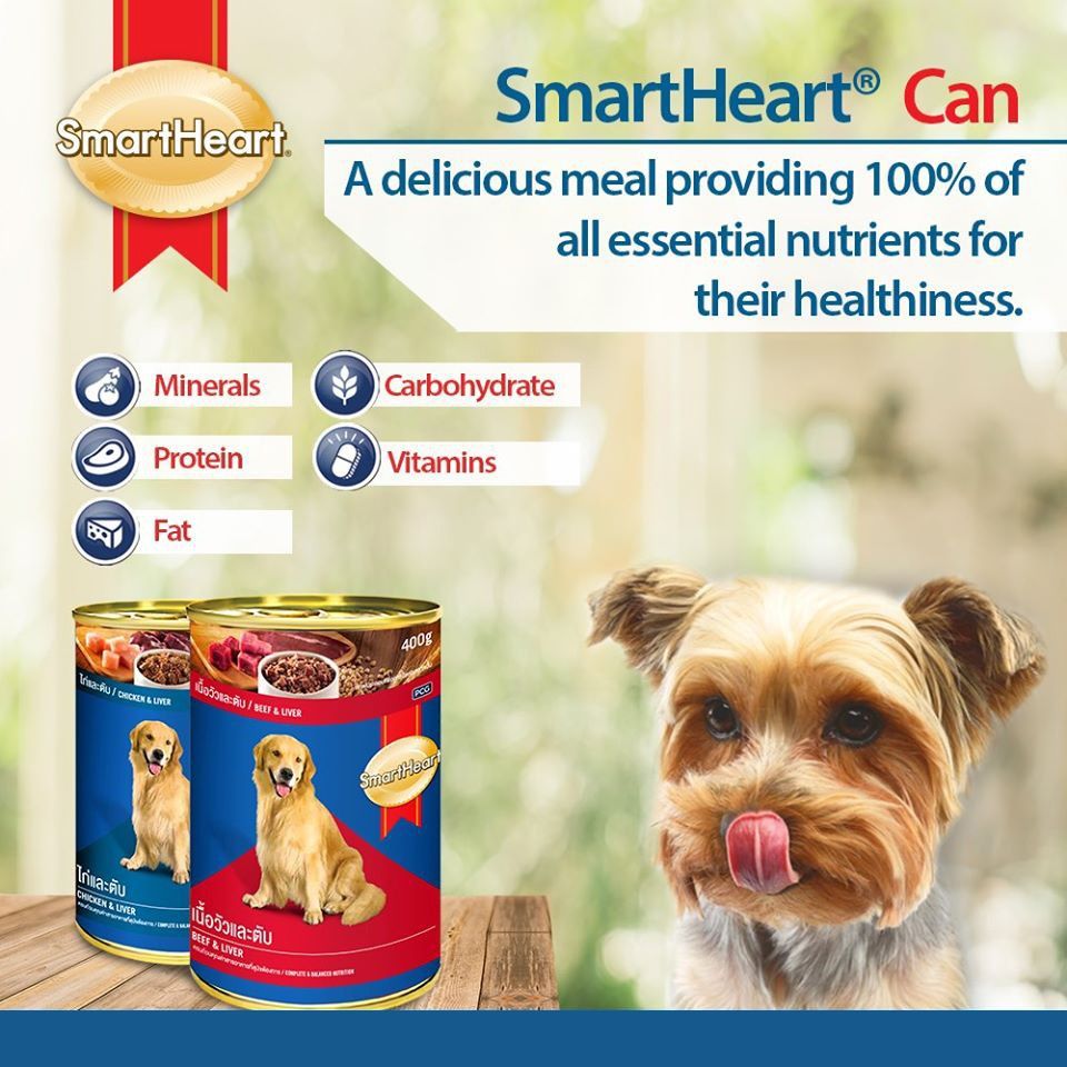 Pate cho chó Smartheart lon 400g hương vị bò và gà – Petspace.vn