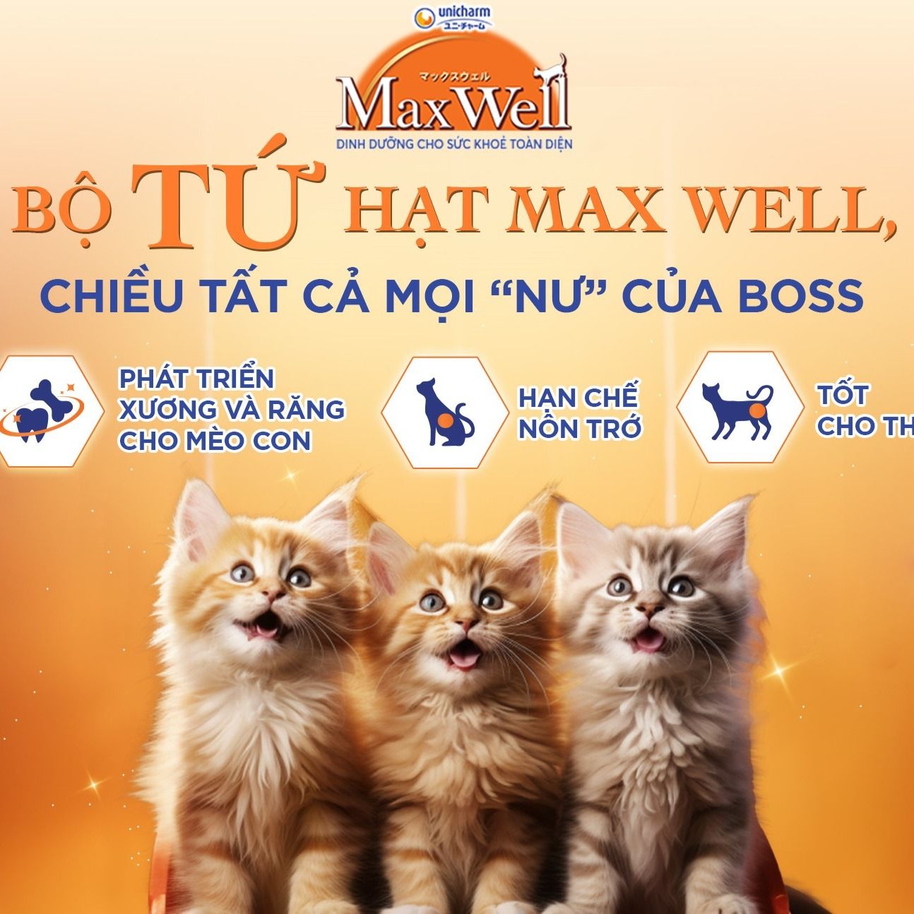 MAX WELL - HẠT THỨC ĂN KHÔ CHO MÈO 1.6KG – Petspace.vn
