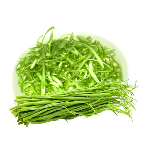 Tất cả sản phẩm – Genshai