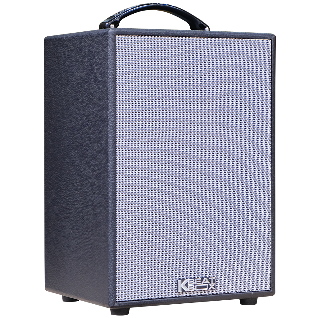 Dàn âm thanh di động ACNOS CS121 – Soncamedia