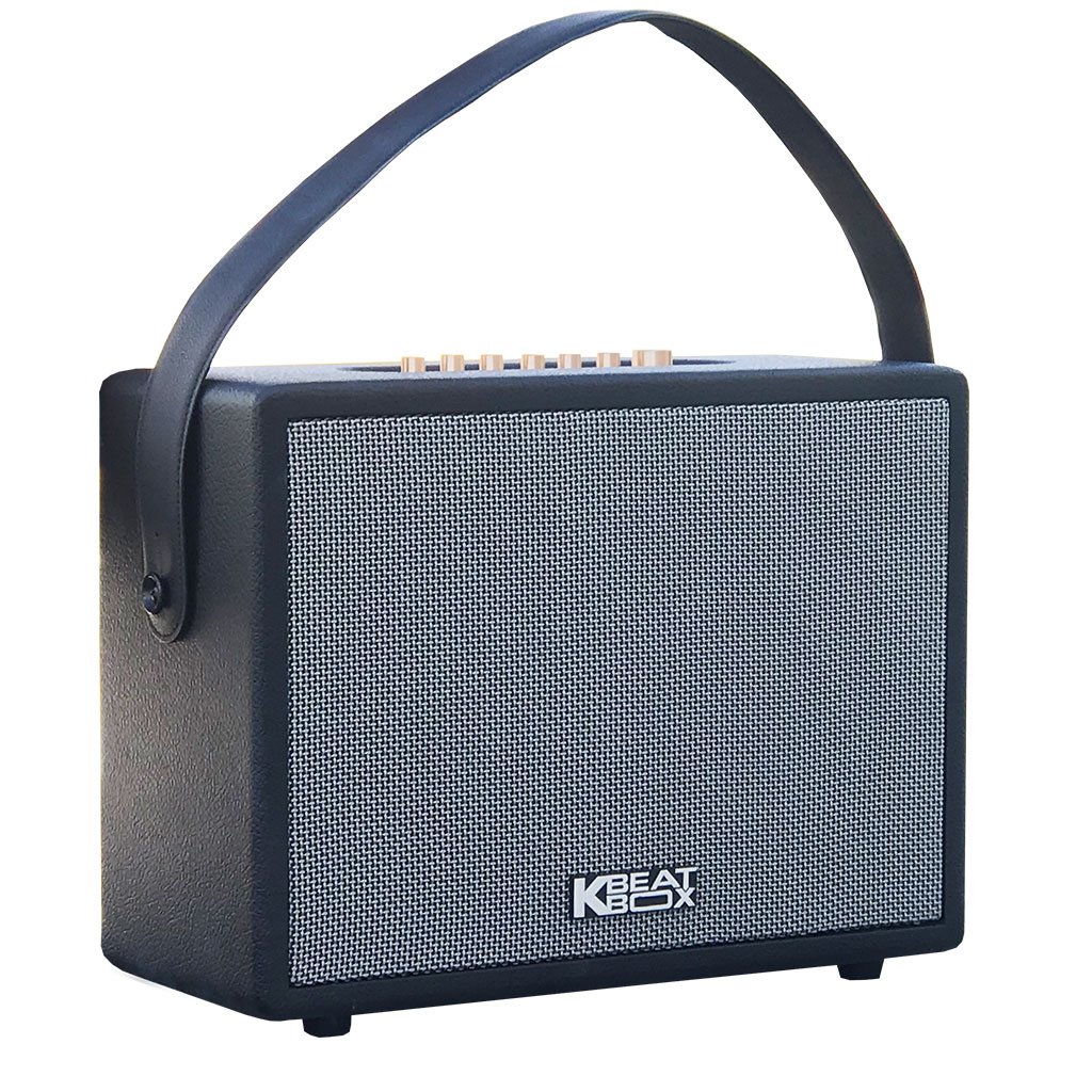 Loa Karaoke Xách Tay Mini Acnos Cs270 Soncamedia