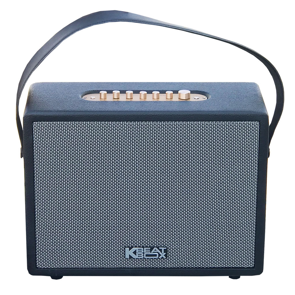 Loa Karaoke Xách Tay Mini Acnos Cs270 Soncamedia