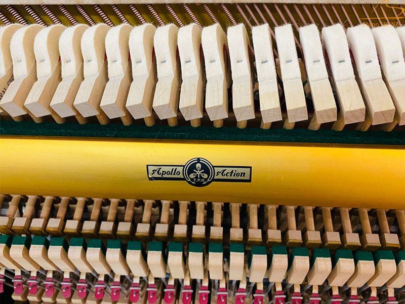 Piano Apollo A6 – Piano Hà Nội