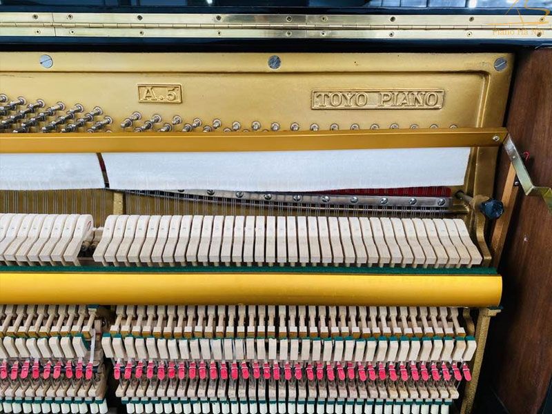 Piano Apollo A5 – Piano Hà Nội