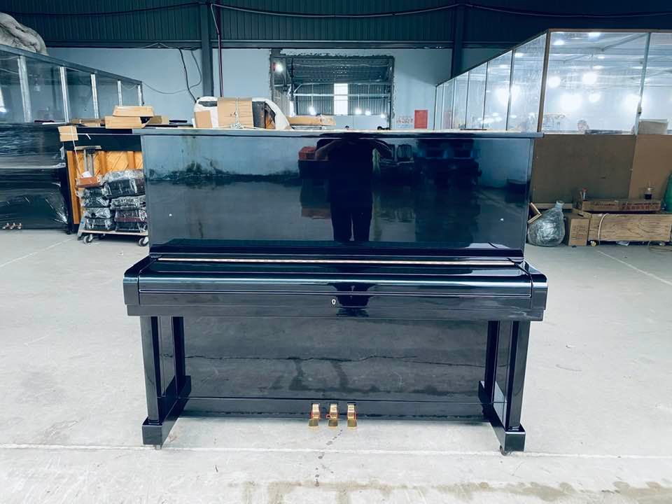 Piano Apollo A5 – Piano Hà Nội