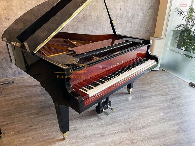 Grand Piano Apollo A30MH – Piano Hà Nội