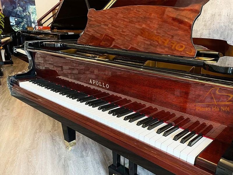 Grand Piano Apollo A30MH – Piano Hà Nội