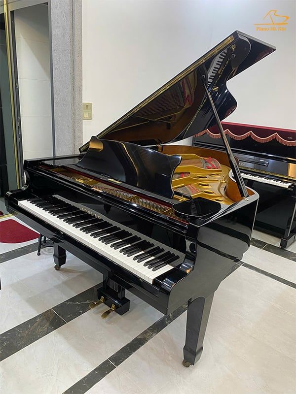 Grand Piano Apollo A35 – Piano Hà Nội