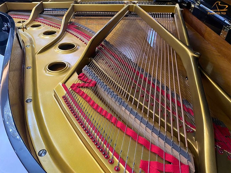 Grand Piano Apollo A35 – Piano Hà Nội