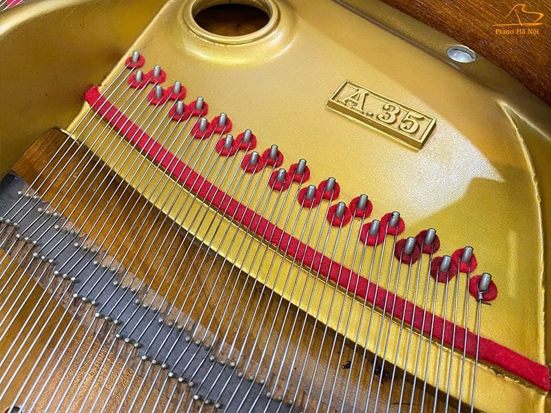 Grand Piano Apollo A35 – Piano Hà Nội