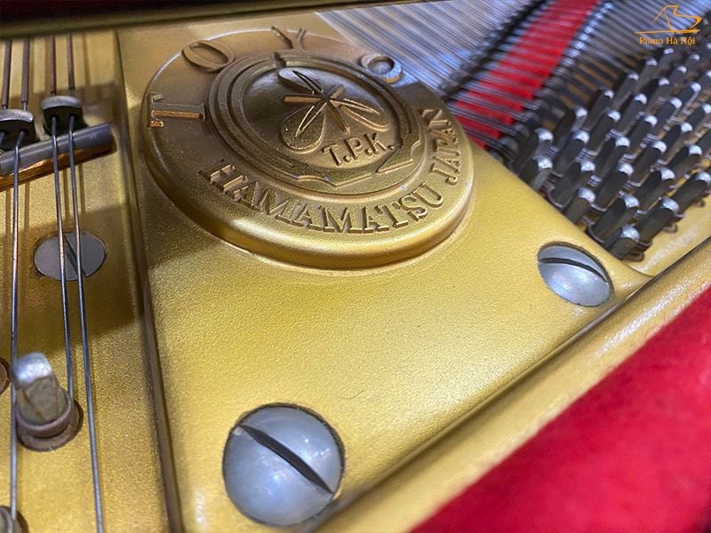 Grand Piano Apollo A35 – Piano Hà Nội