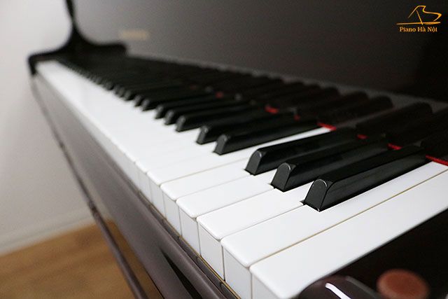 Grand Piano Rosenstock RG-175 – Piano Hà Nội