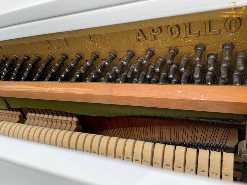 Piano Apollo A1 – Piano Hà Nội