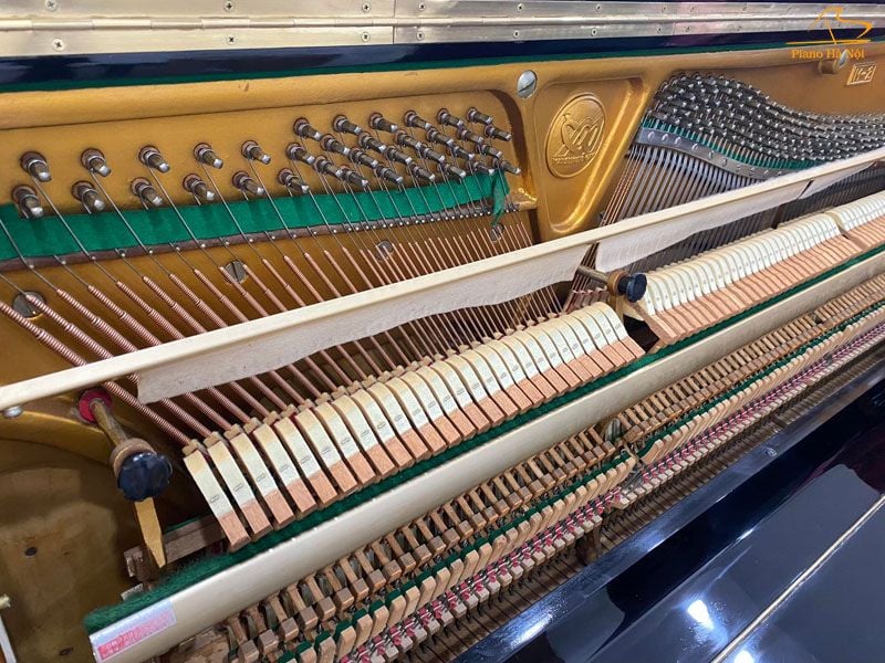 Piano Atlas M2 – Piano Hà Nội