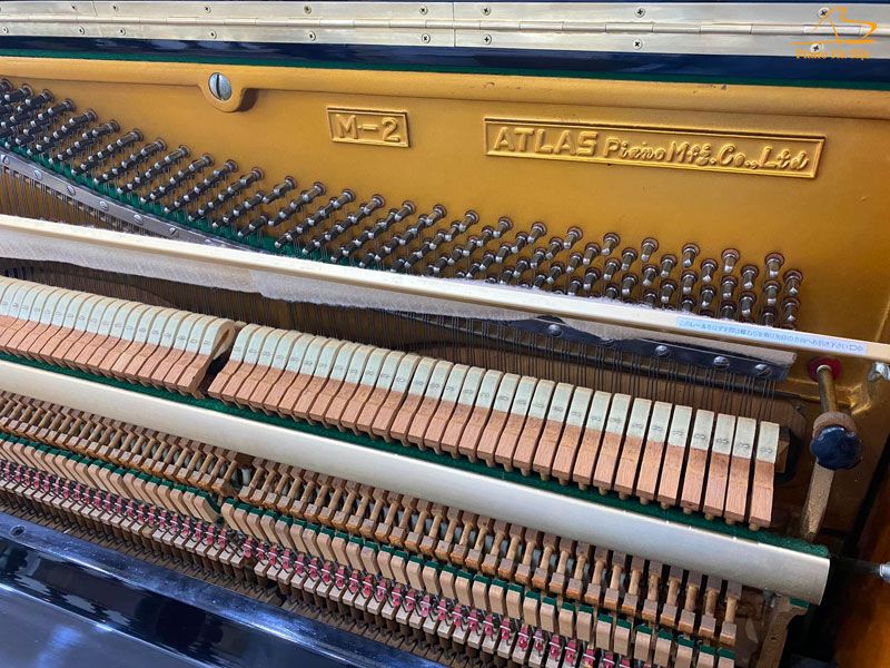 Piano Atlas M2 – Piano Hà Nội