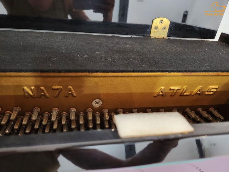 Piano Atlas NA7A – Piano Hà Nội