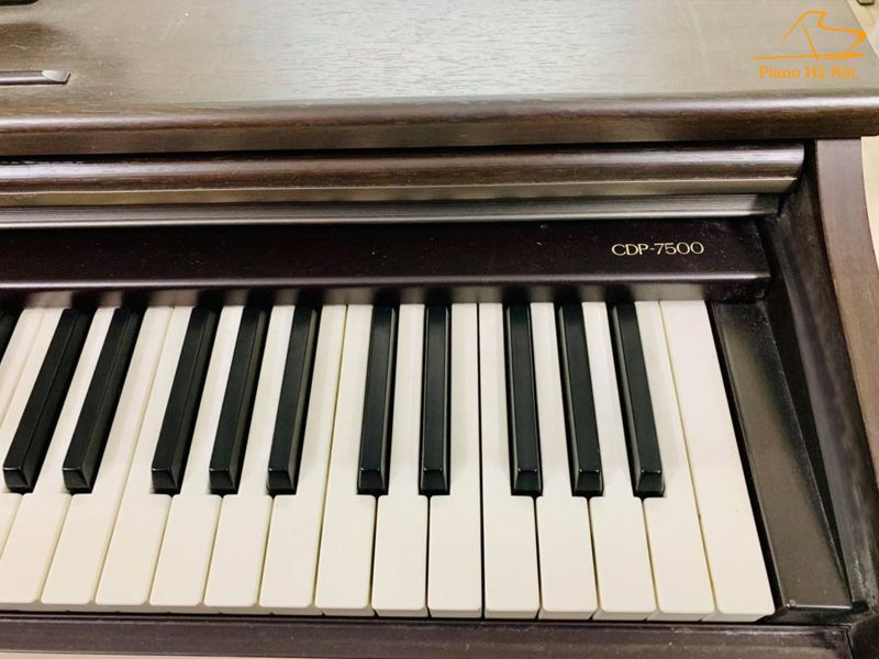 Đàn Piano Điện CASIO CDP7500 - Giảm Giá Sốc Tại Piano Hà Nội – Piano Hà Nội